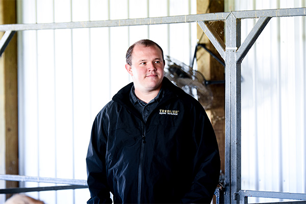 Team of Experts - Formula of Champions