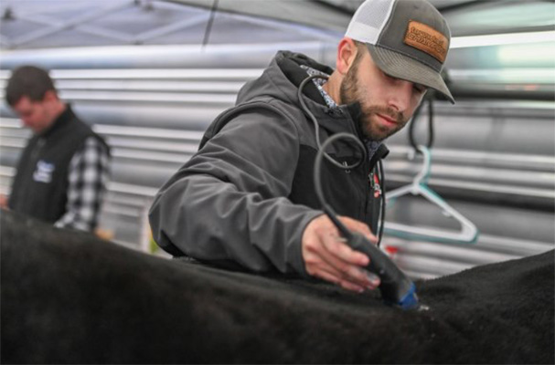 Team of Experts - Formula of Champions