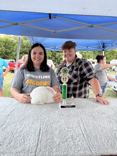 Rabbit Winners - Formula of Champions