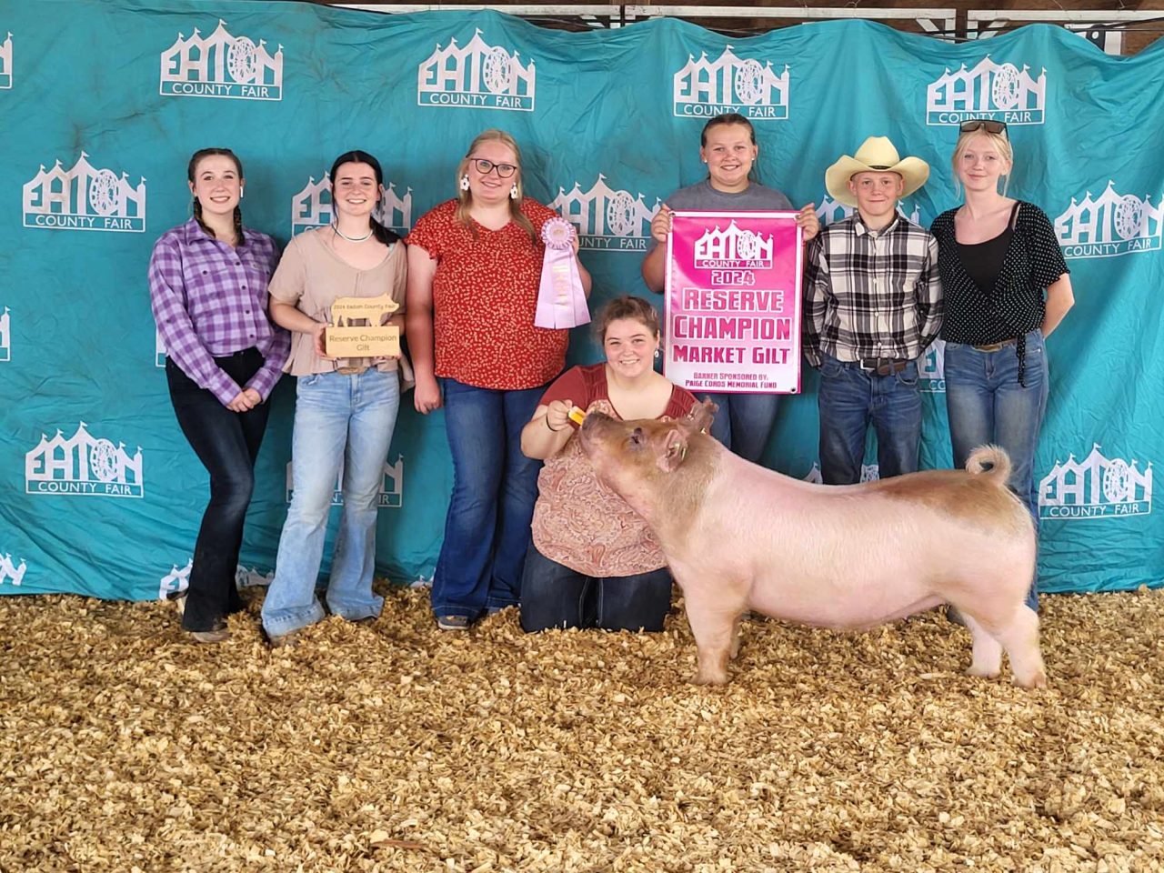 Pig Winners - Formula of Champions