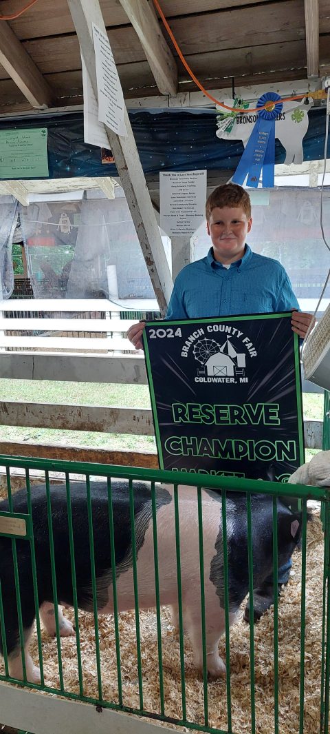 Pig Winners - Formula of Champions