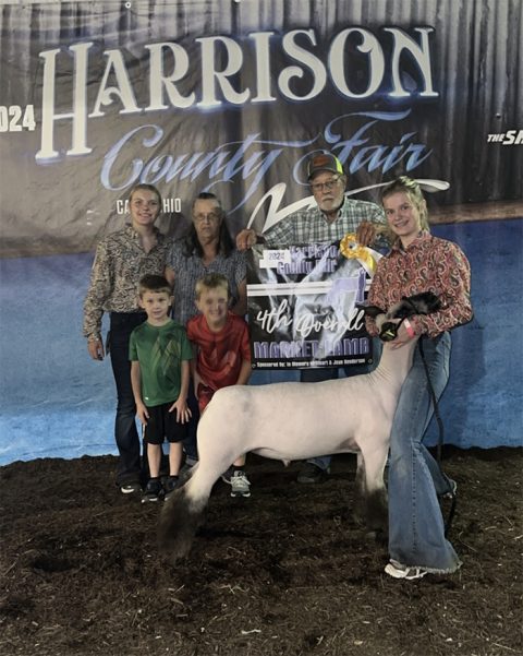 Lamb Winners - Formula of Champions