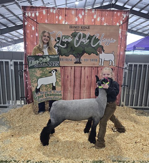 Lamb Winners - Formula of Champions
