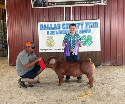 Pig Winners - Formula of Champions