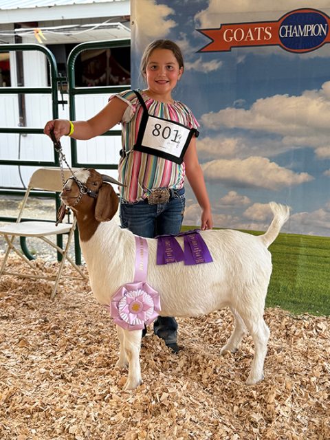 Goat Winners - Formula of Champions